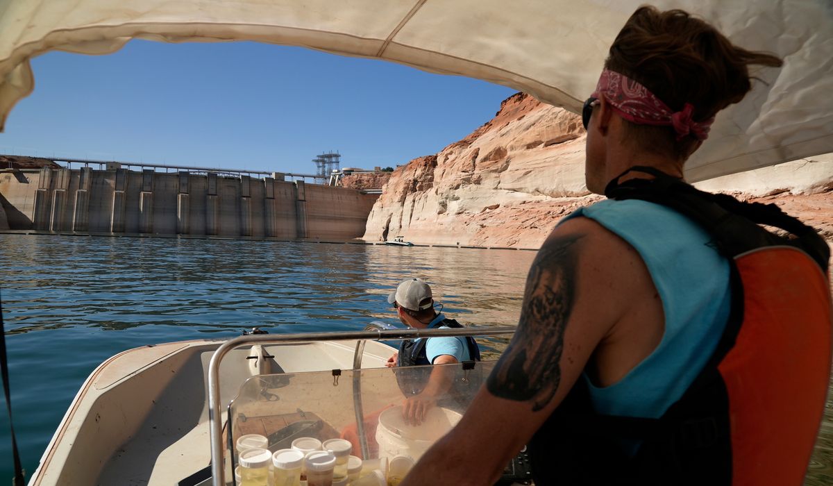 Single N. Ariz. Dam Pits Power Bills vs. Colorado River’s Last Fish ...